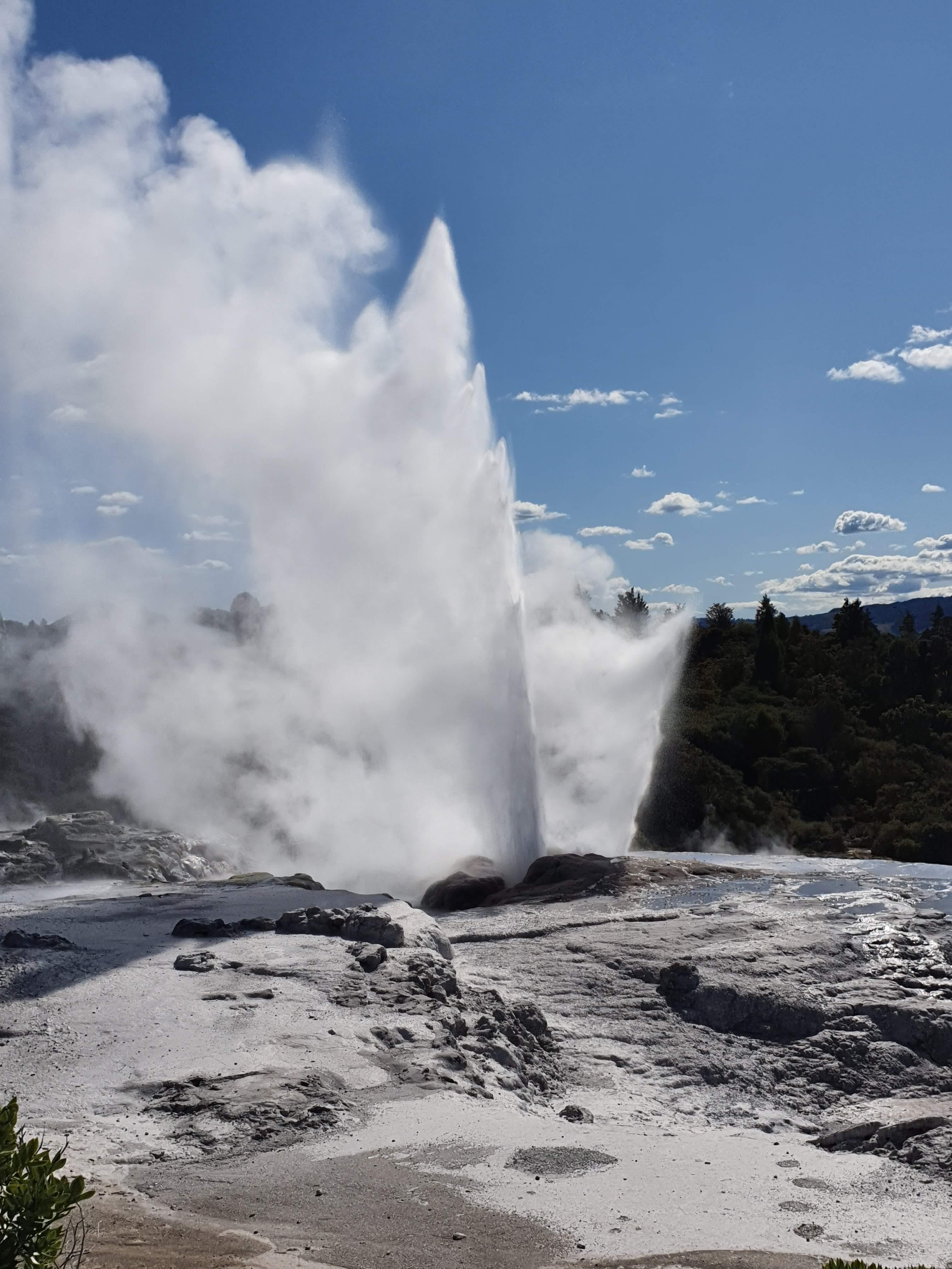 See a geyser erupt
